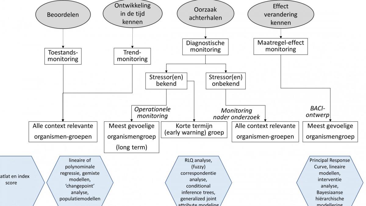 Monitoren van de ecologie | STOWA